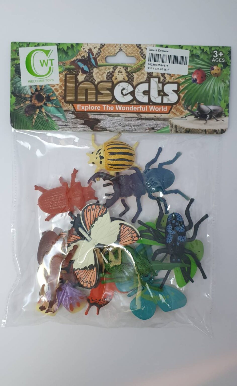 Insect Explore – SIAM INSECT ZOO